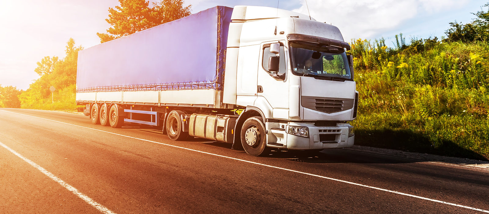 MGS30 GPS seklys | Fleet Complete Lietuva